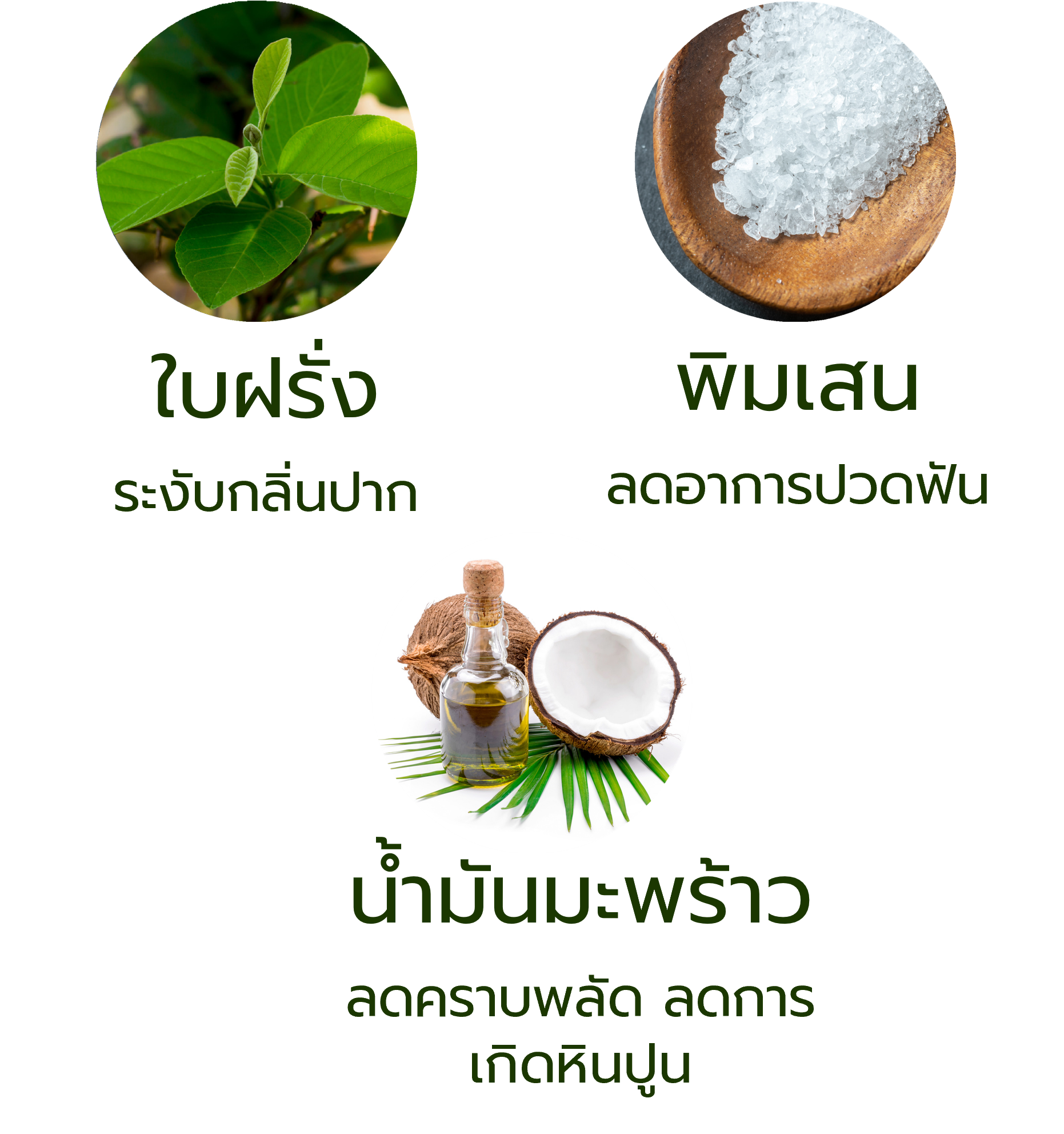 Demo Marketing 1 | Porto - Multipurpose Website Template